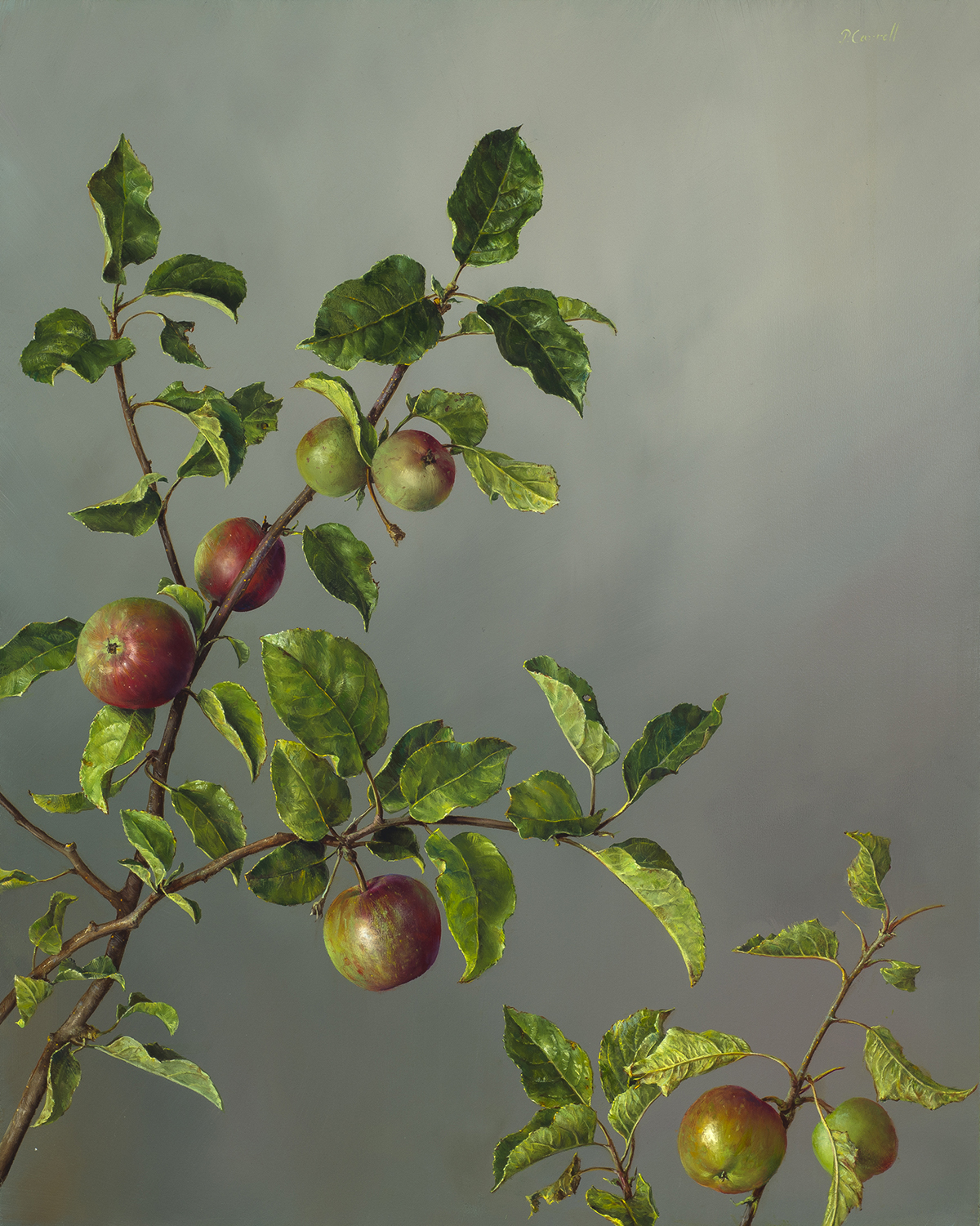 Pamela Carroll | Winfield Gallery