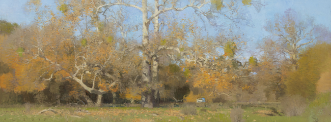 Ann Lofquist - Artworks at Winfield Gallery in Carmel, CA